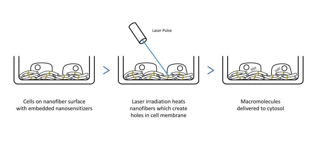 Photoporation technology - TRINCEBIO
